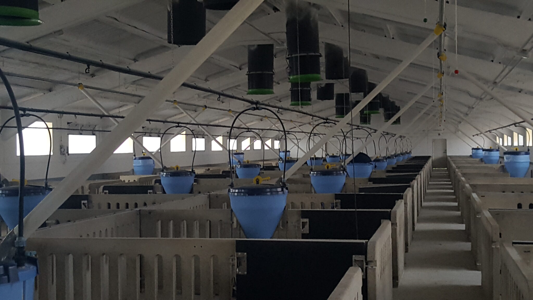 La Granja Inteligente I-Farms, de New Farms, consigue los mejores ...