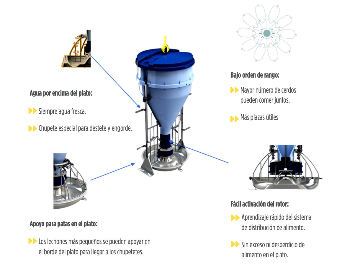 INNOVACIÓN EN SISTEMAS DE ALIMENTACIÓN UNA MIRADA A LAS TOLVAS BLU HOX ...