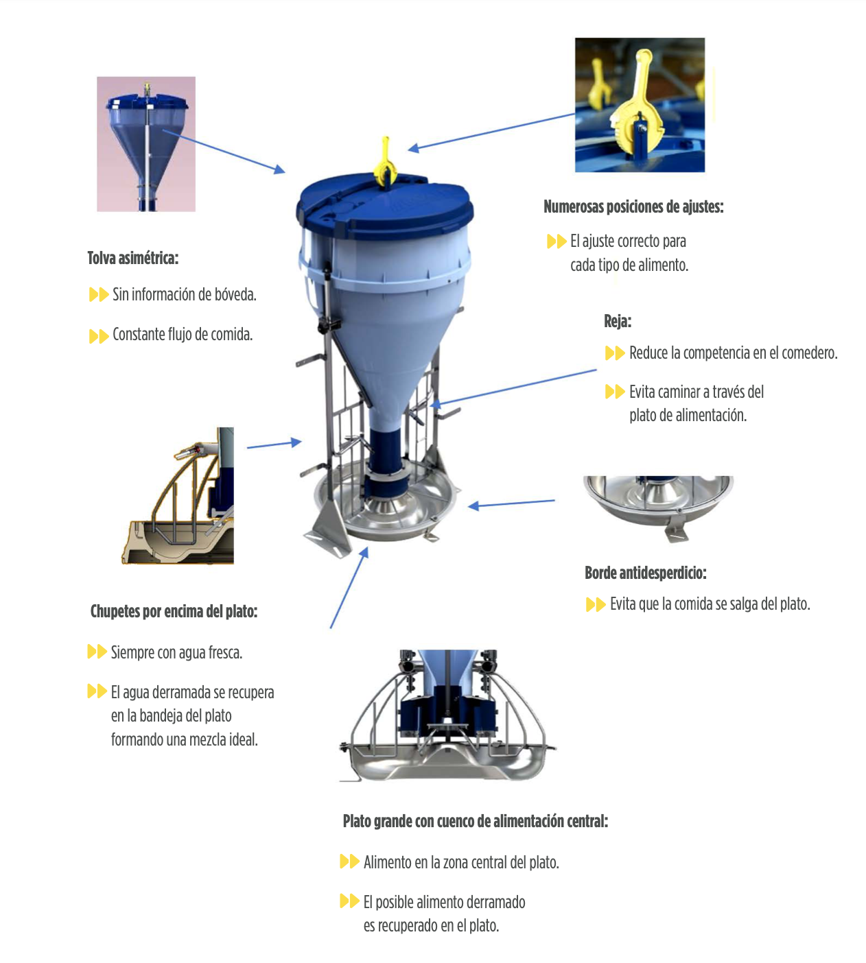 INNOVACIÓN EN SISTEMAS DE ALIMENTACIÓN UNA MIRADA A LAS TOLVAS BLU HOX ...